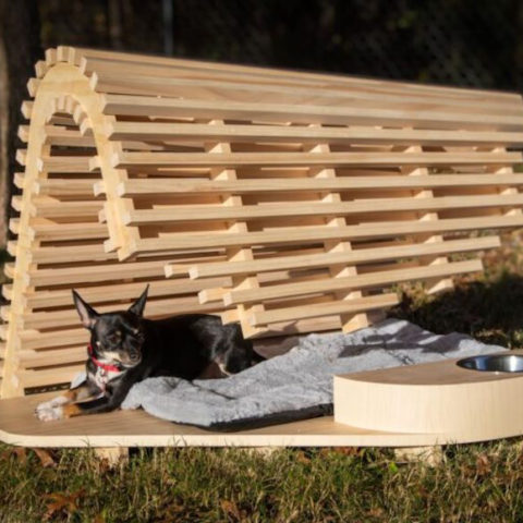 What's New - Skiles Group